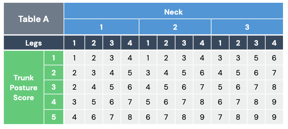 REBA: The Rapid Entire Body Assessment - Comprehensive Overview